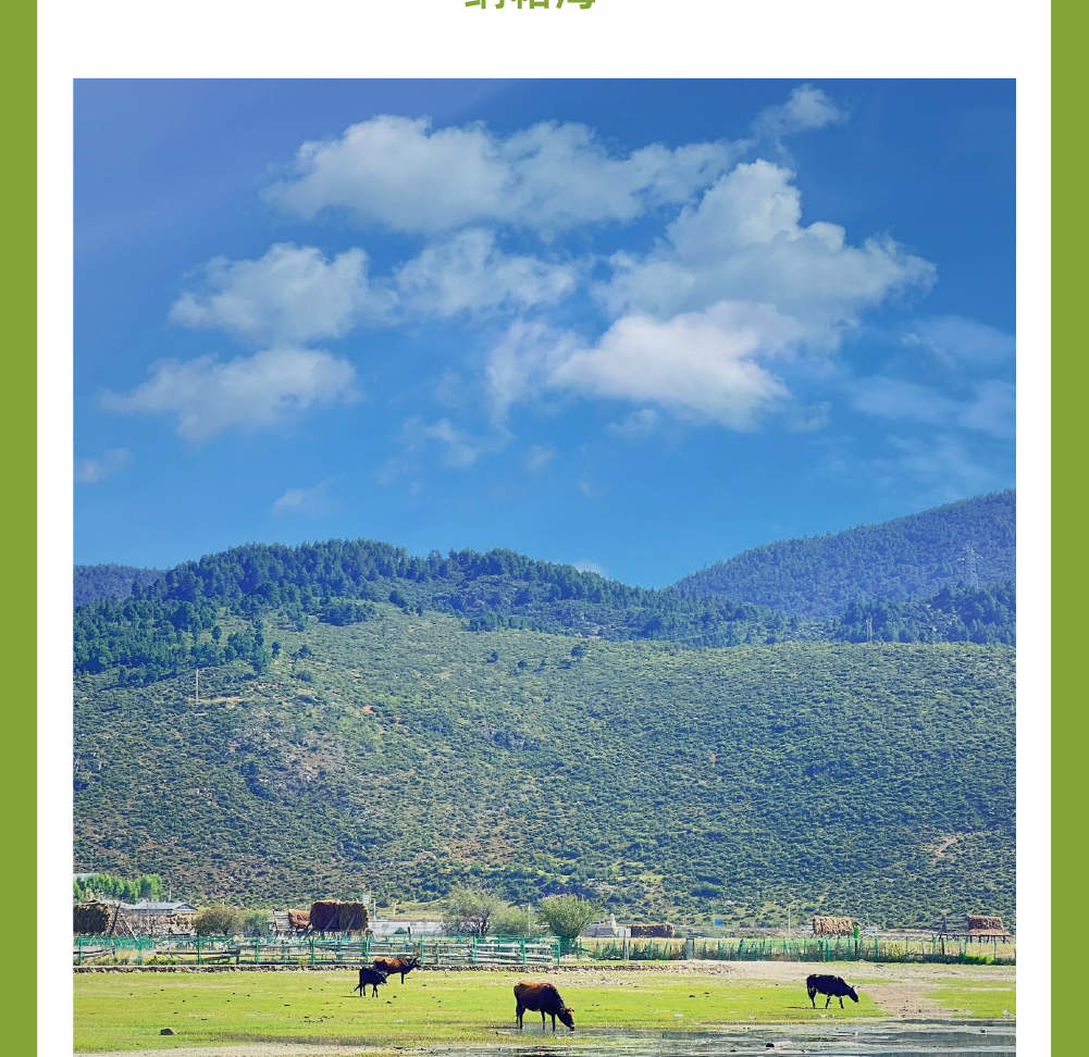 5-day tour to Niding Forest in Shangri-La, Yunnan (Songzanlin Temple ...